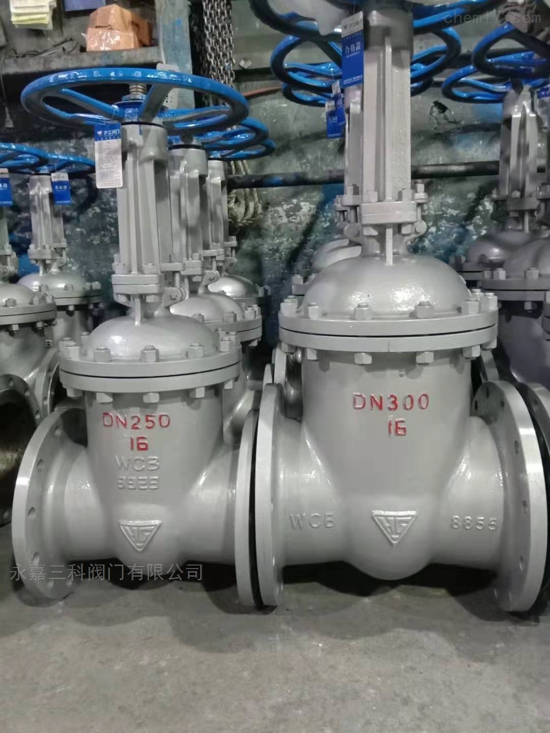 Z41H、Z41W手动法兰闸阀-化工仪器网