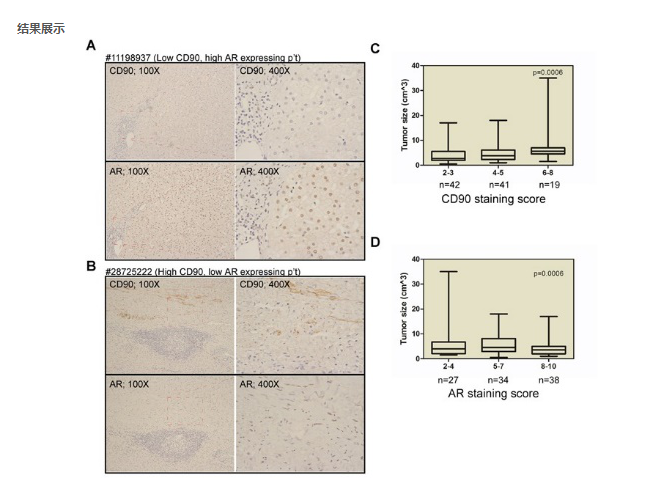 免疫组化IHC染色实验服务_病理学检测实验-上海研谨生物科技有限公司